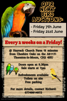 Events - Sales & Auctions