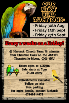 Events - Sales & Auctions