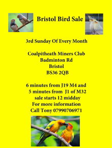 Events - Sales & Auctions