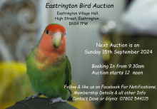 Events - Sales & Auctions