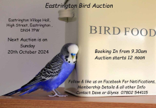 Events - Sales & Auctions