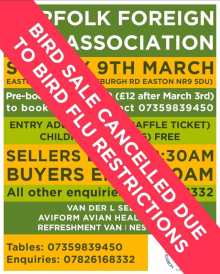 Events - Sales & Auctions