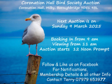 Events - Sales & Auctions