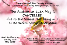 Events - Sales & Auctions