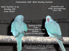 Events - Sales & Auctions