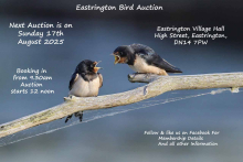 Events - Sales & Auctions