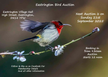Events - Sales & Auctions