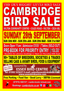 Events - Sales & Auctions
