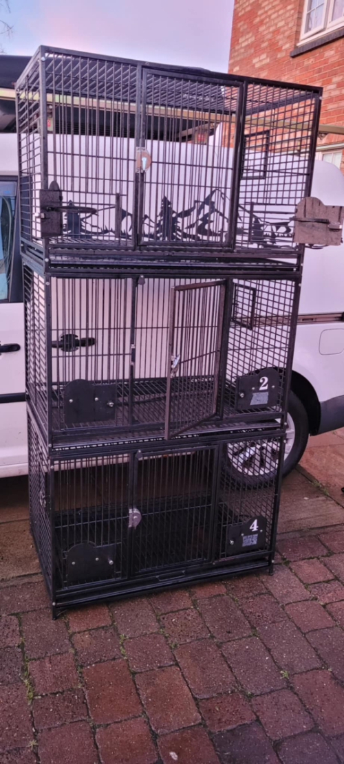 Triple stacked cages - Cages - North UK - All Birds for sale.