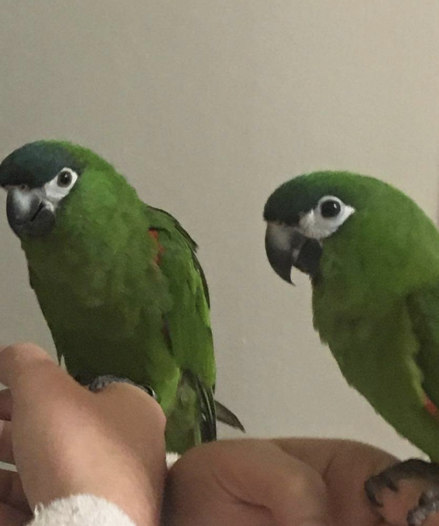 lee Caulfield - Home